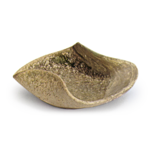 Kaiyu ware: ear dish. – Ceramics Story